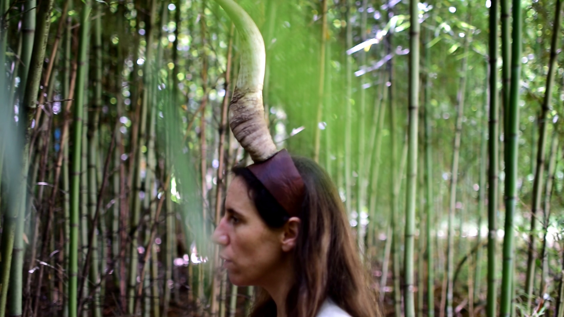 El Museo de Arte Contemporáneo inaugura una nueva exposición - Cultura ...